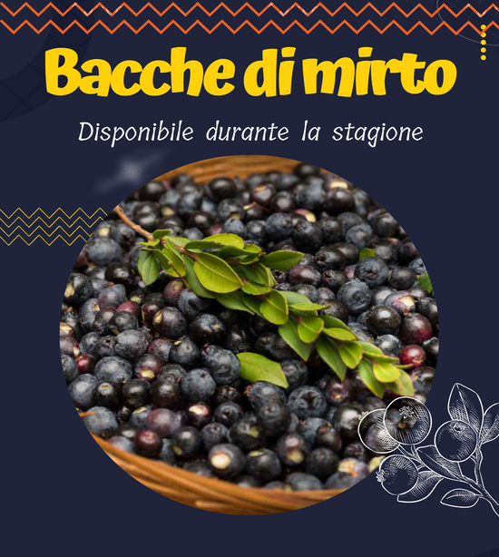 Prodotti Sardi Online | Bacche di Mirto – Il Marchese di Sassari